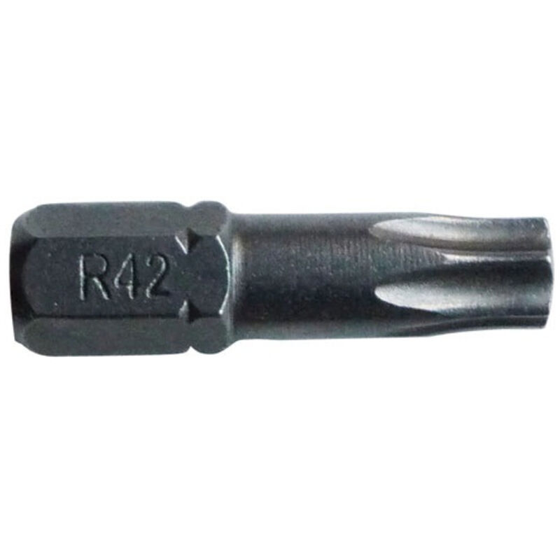 Punta Torx T20 L.25mm Forjada Blíster de 3 - Riss