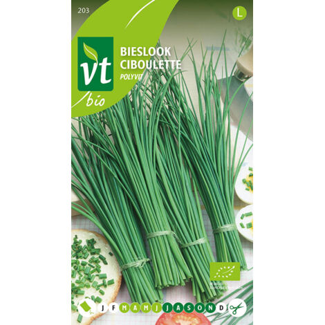 Bio Ciboulette Fine Polyvit - Ca. 0,75 gr (Livraison Gratuite)