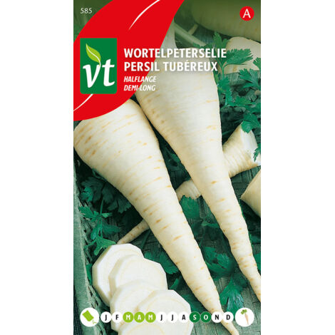 Persil à Grosse Racine Demi-Long - Ca. 2 gr (Livraison Gratuite)