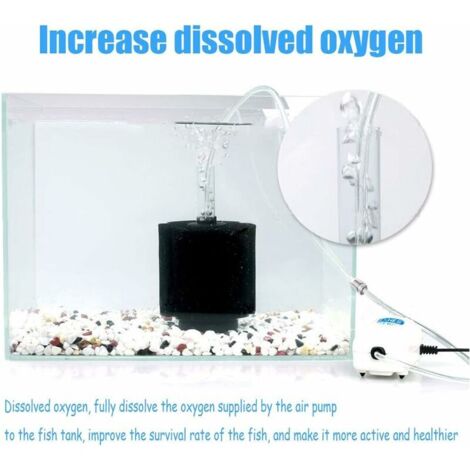 2-Piece Mesh Filter Protection, Sponge Filter, Aquarium Air Filter ...