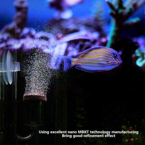 CO2 Diffuser, Transparent Acrylic CO2 Diffuser, CO2 Diffuser for ...