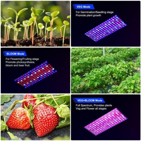 BW2000 Full Spectrum LED Grow Light with UV/IR, Dual LED Chip for ...