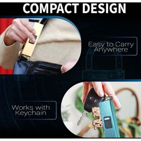 The world's smallest guard dog, the Hornet, a paralyzing keychain with ...