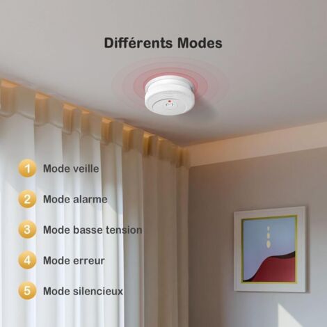 Smoke Detector, Smoke Detector with Replaceable Battery, Fire Alarm ...