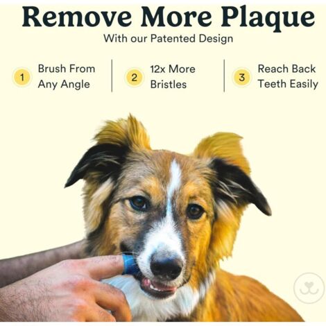 Dog toothbrush, 360-degree toothbrush set, finger toothbrush, pet ...