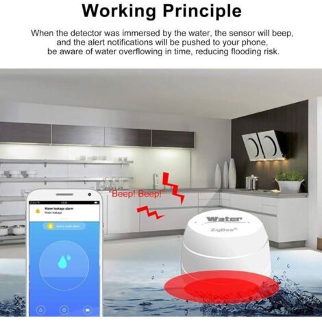 Water leak detector, intrusion detector, water level overflow alarm ...