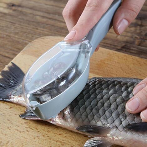 Fish Scaler Tool - Cleaning Scales, Fish Scraping Brush 6.30 2.17 inch ...