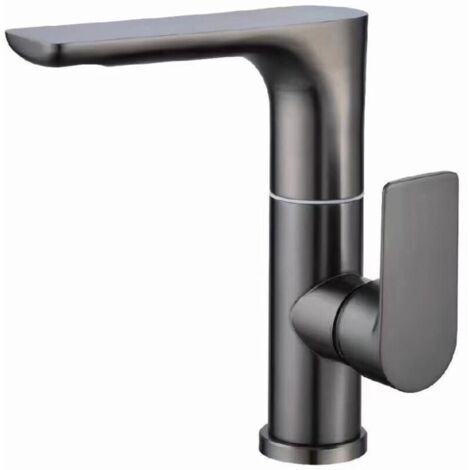 Dual-use stainless steel faucet, hot and cold water, grey spray head ...