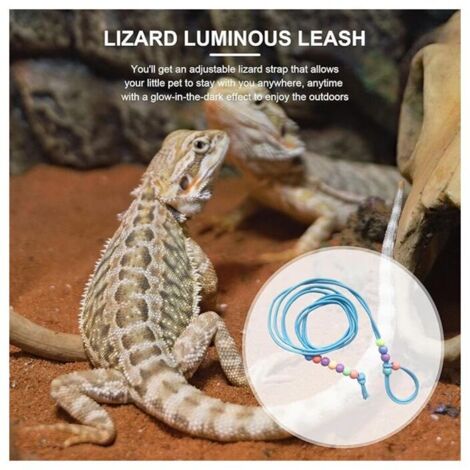 Bearded dragon leash and leopard print harness, pet leash, lizard leash ...