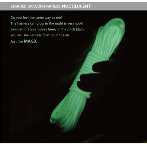 Bearded dragon leash and leopard print harness, pet leash, lizard leash ...