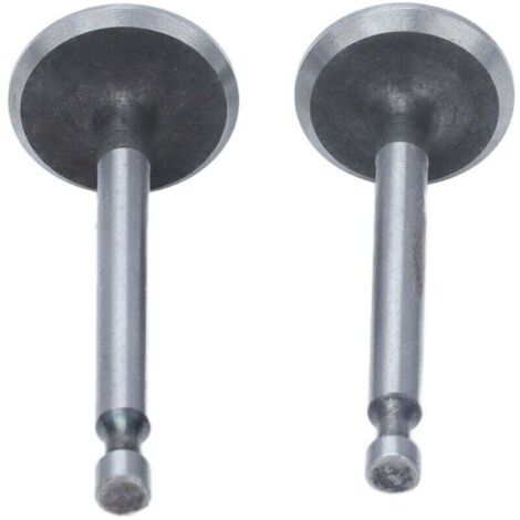 Engine valve kit, 2 sets of rustproof stainless steel intake valves for ...