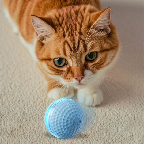 Moving Ball Cat Toy