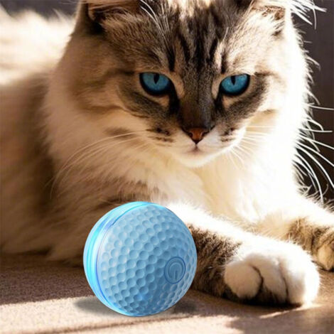 Moving Ball Cat Toy