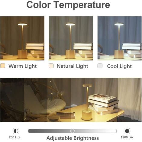 Rechargeable wireless table lamp, designer metal LED desk lamp with USB ...