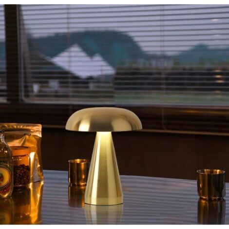 Wireless LED table lamp, dimmable touch lamp, rechargeable desk lamp ...