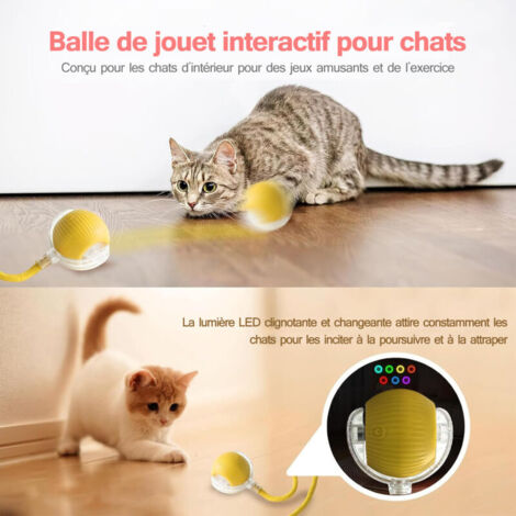 PurrfectFun Interactive Cat Ball with Rope