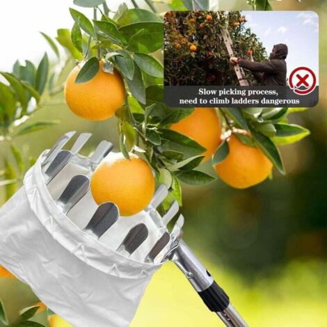 Fruit Picker with Bag, Fruit Cherry Fruit Picking Tool 3.2m, with ...