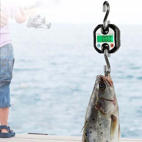 Digital scales, hook scale, portable mini hanging scale with LCD screen ...
