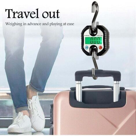 Digital scales, hook scale, portable mini hanging scale with LCD screen ...