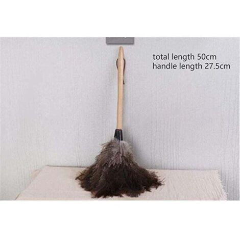 Feather dusters for home and office, ostrich feathers, ostrich feather ...