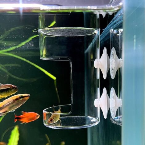 Automatic spherical fish feeder that reduces filter clogging. Suitable ...