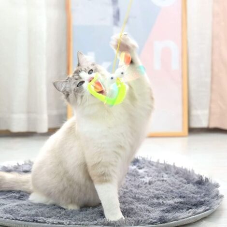 Cat Toy Hanging Over the Door 2m Simulation Feather Toys, 3-Piece ...