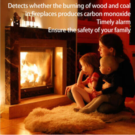 2pcs Carbon Monoxide Alarm Detector, CO Alarm Detector with Digital ...