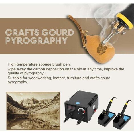 Multifunctional Electric Pyrography Machine for Pumpkin Wood, with 100W ...