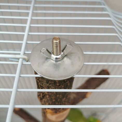 Joody Parrot Cage Perch, Parakeet Toys, Natural Wood Perch for 3 or 4 ...