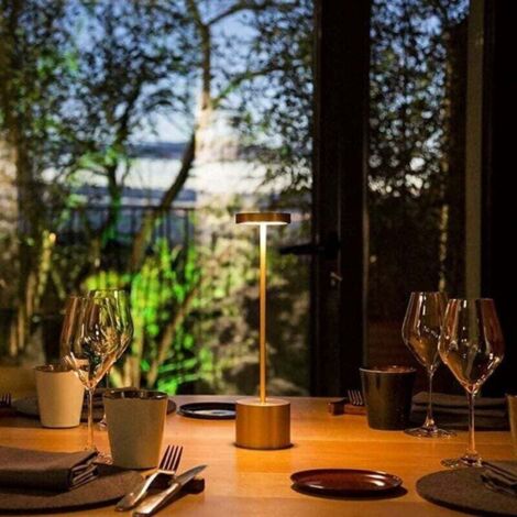 Wireless LED Table Lamp, Small Rechargeable Metal Desk Lamp, 2 Dimming ...