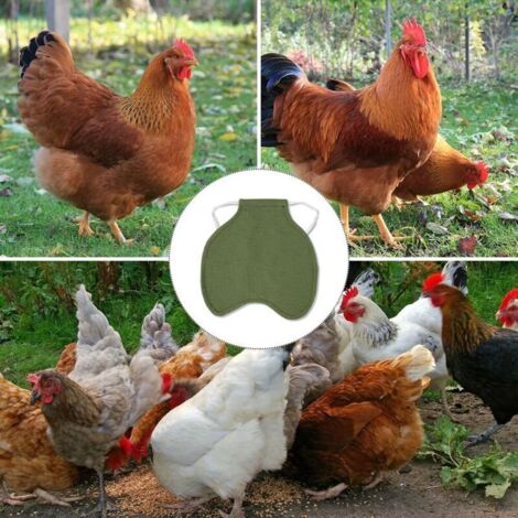 Chicken saddle for hens, chicken wing and back protector, comfortable ...