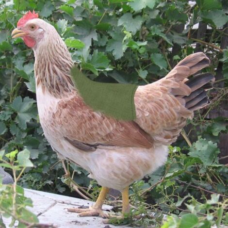 Chicken saddle for hens, chicken wing and back protector, comfortable ...