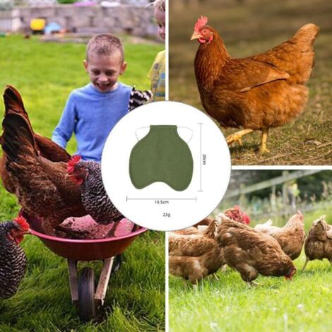 Chicken saddle for hens, chicken wing and back protector, comfortable ...
