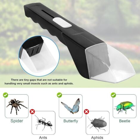 Set of 2 live insect traps - Insect trap - Spider trap - Catching tool ...