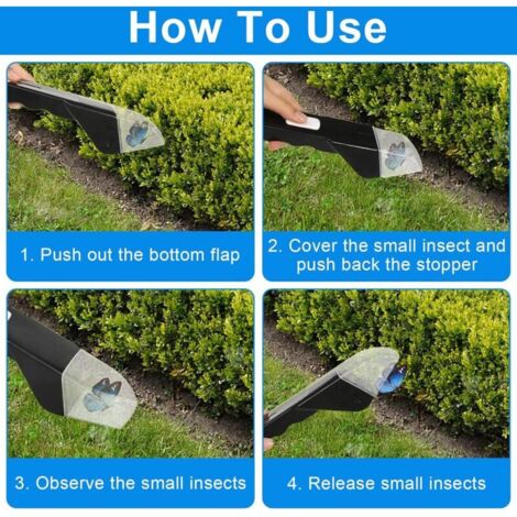 Set of 2 live insect traps - Insect trap - Spider trap - Catching tool ...