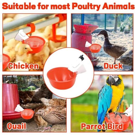 10 automatic chicken drinkers, suitable for automatic chicken feeding ...