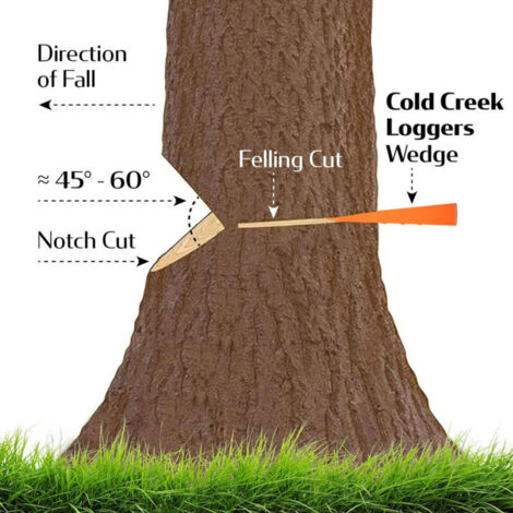 10-inch ABS plastic felling wedge with serrated points for safe tree ...
