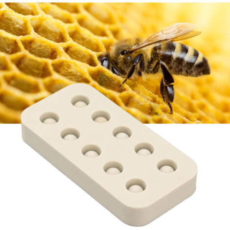 Stampo in silicone per tazze da innesto per api regine, stampo per ...