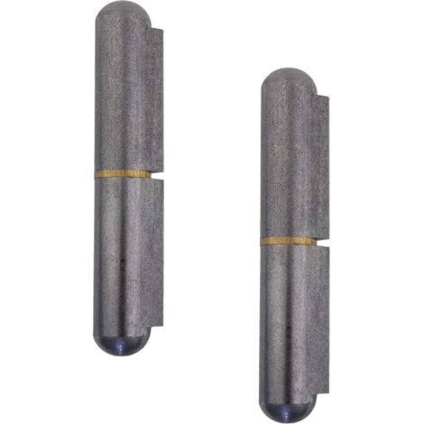 Bisagra soldable para puerta, altura: 120 mm, 2 piezas - Bisagras para ...