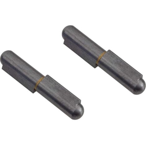 Bisagra soldable para puerta, altura: 120 mm, 2 piezas - Bisagras para ...