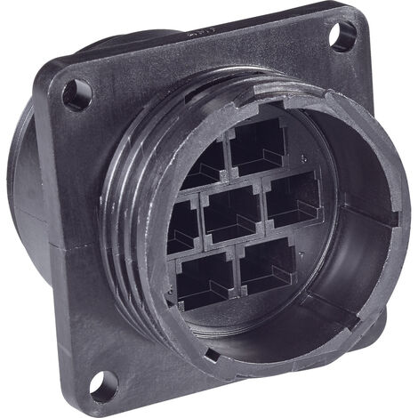 TE Connectivity 206137-1 Rundstecker Buchse, gerade Gesamtpolzahl: 7 ...