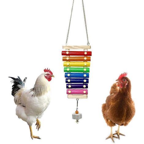 Xylophone pour poules anti-ennui a 8 touches metalliques colorees ...