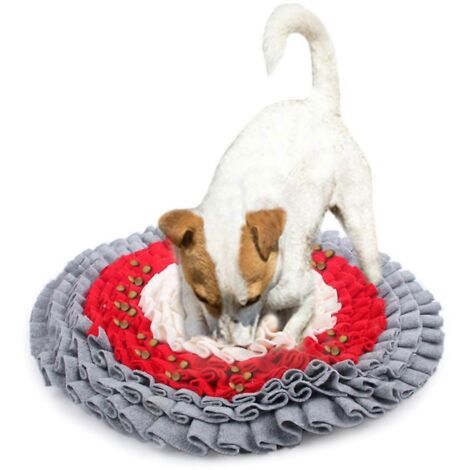 Distributeur de croquettes chien tapis de détection de odeur sain ...