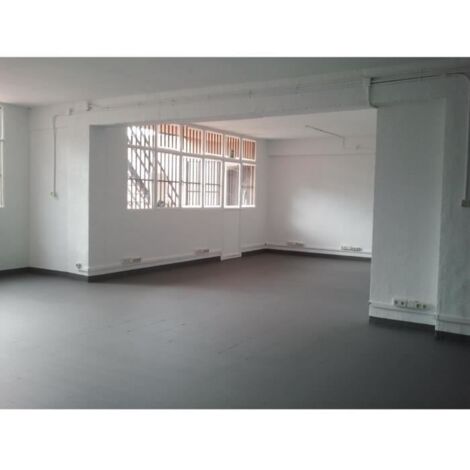Pintura - PECTRO - 4L - Gris - Acrílico - Multicapas