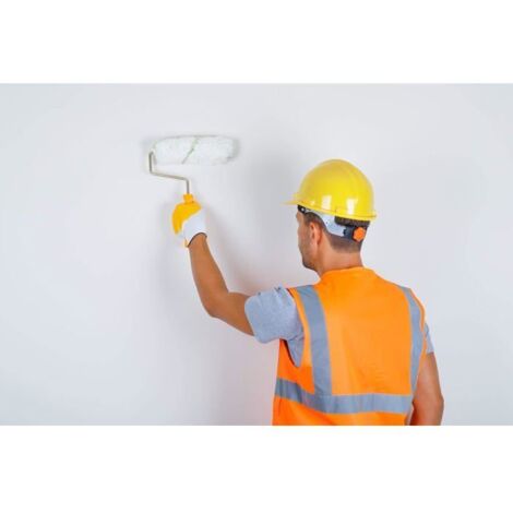 Pintura exterior - PECTRO - Blanco - 14L - Anti-humedad - Anti-moho