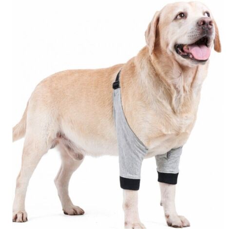 (Gris, XL) Protecteur de coude pour chien manchon de jambe avant ...