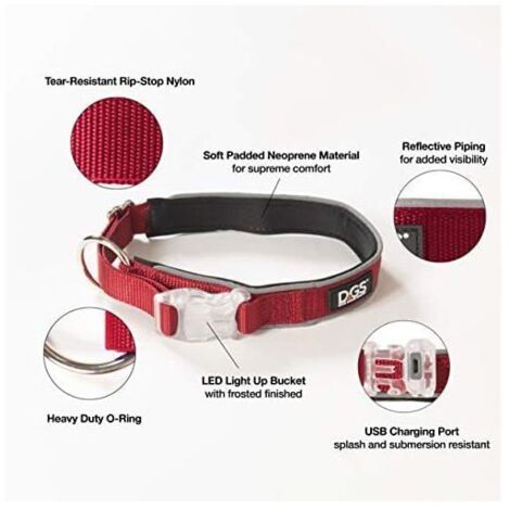Collar luminoso LED para perro - Dog Gone Smart - Recargable - Rojo ...
