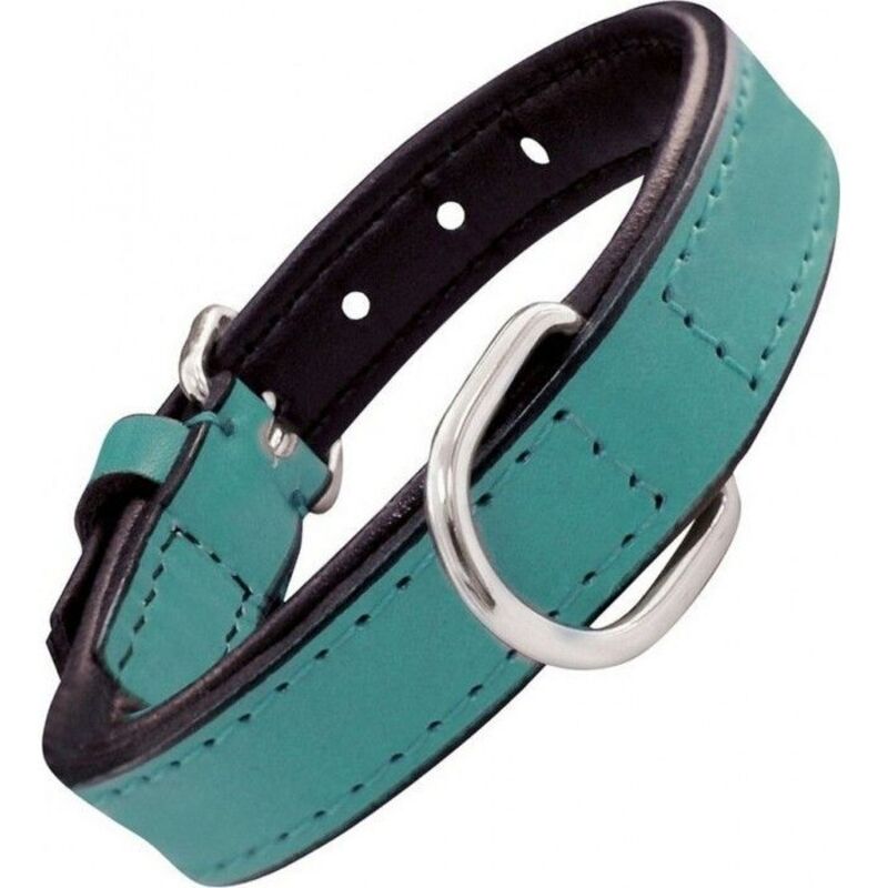 Dog Collar - NC - Gloria - Padded - Turquoise - 50 x 2.5 cm