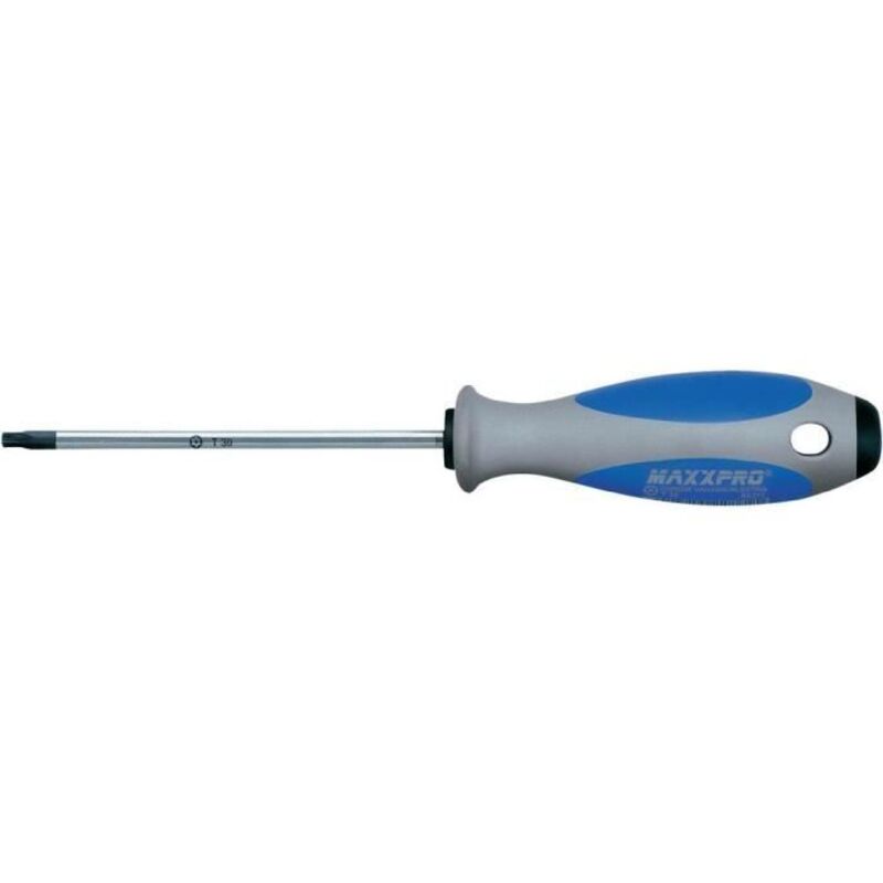 Screwdriver - Witte Tool MAXXPRO - Torx T 30 - Standard - Electrical ...