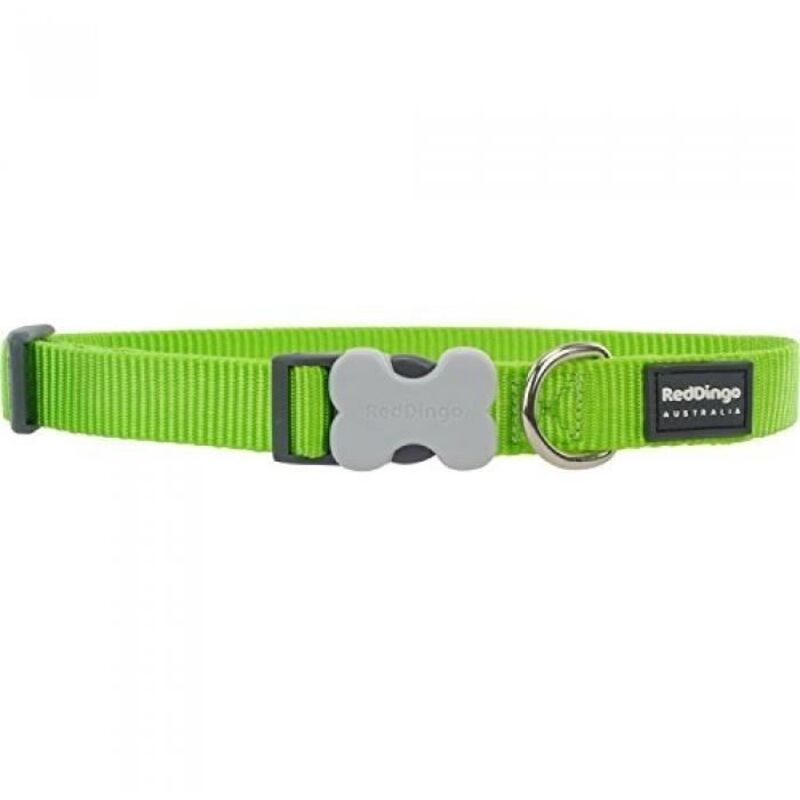 Dog collar - Red Dingo - Lime green - Nylon - Durable - Trendy